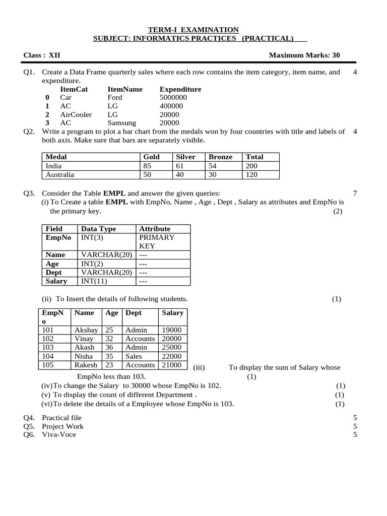 12 ip practical | PDF | Data Management | Computing