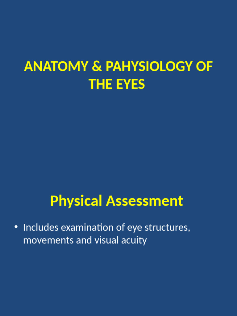 Anatomy Physiology of The Eyes | PDF | Human Eye | Eye