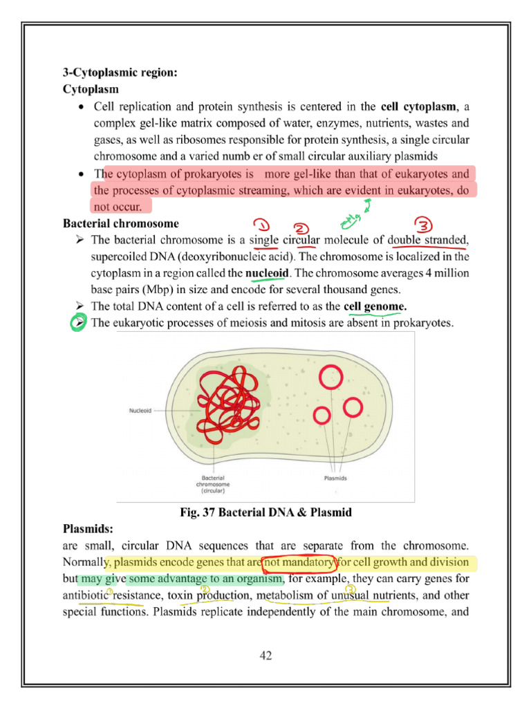 Lect 4-Unlocked - 241116 - 114804 | PDF