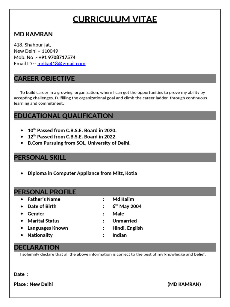 My Curriculum Vitae (1) | PDF