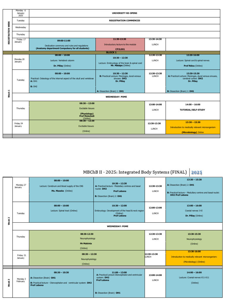 Block 1 Timetable - Students | PDF | Brainstem | Brain