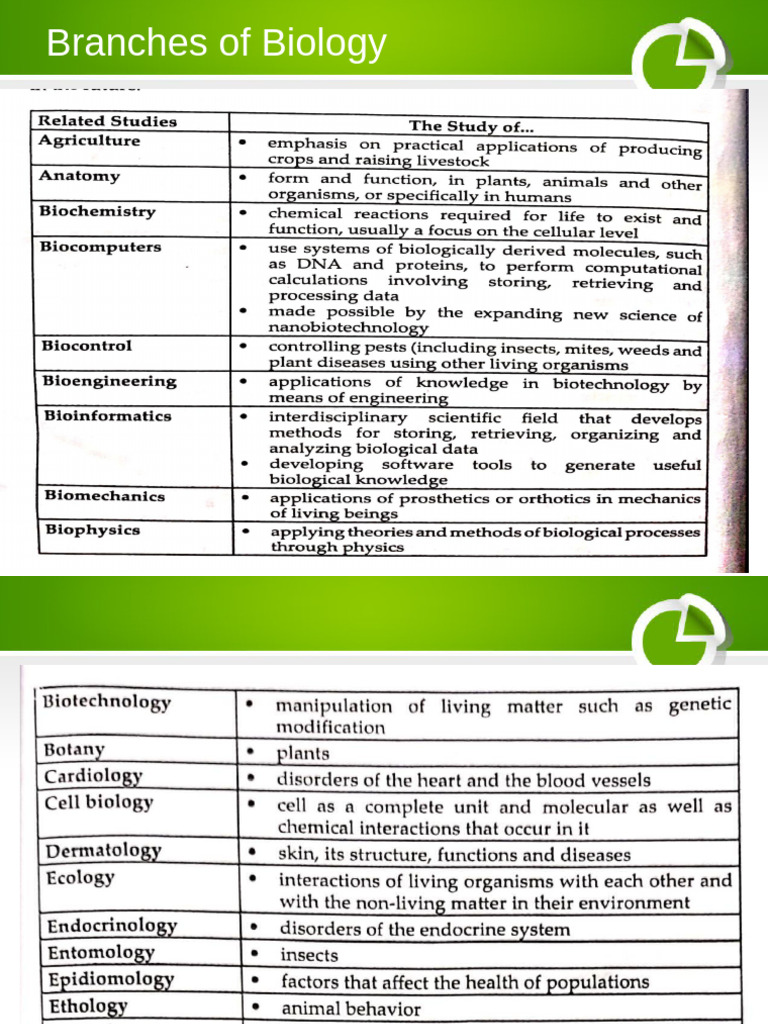 Branches of Biology | PDF