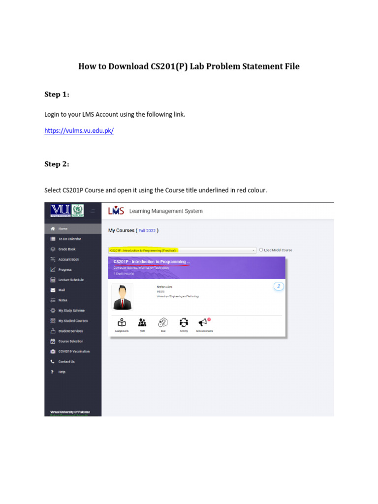 StepsToDownloadCS201(P)ProblemStatement | PDF