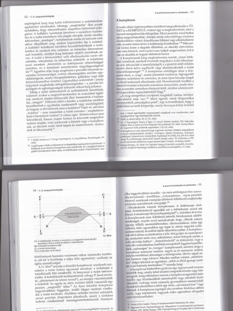 PSZ Jacobi - Jung Pszichológiája (RÉSZLET) | PDF