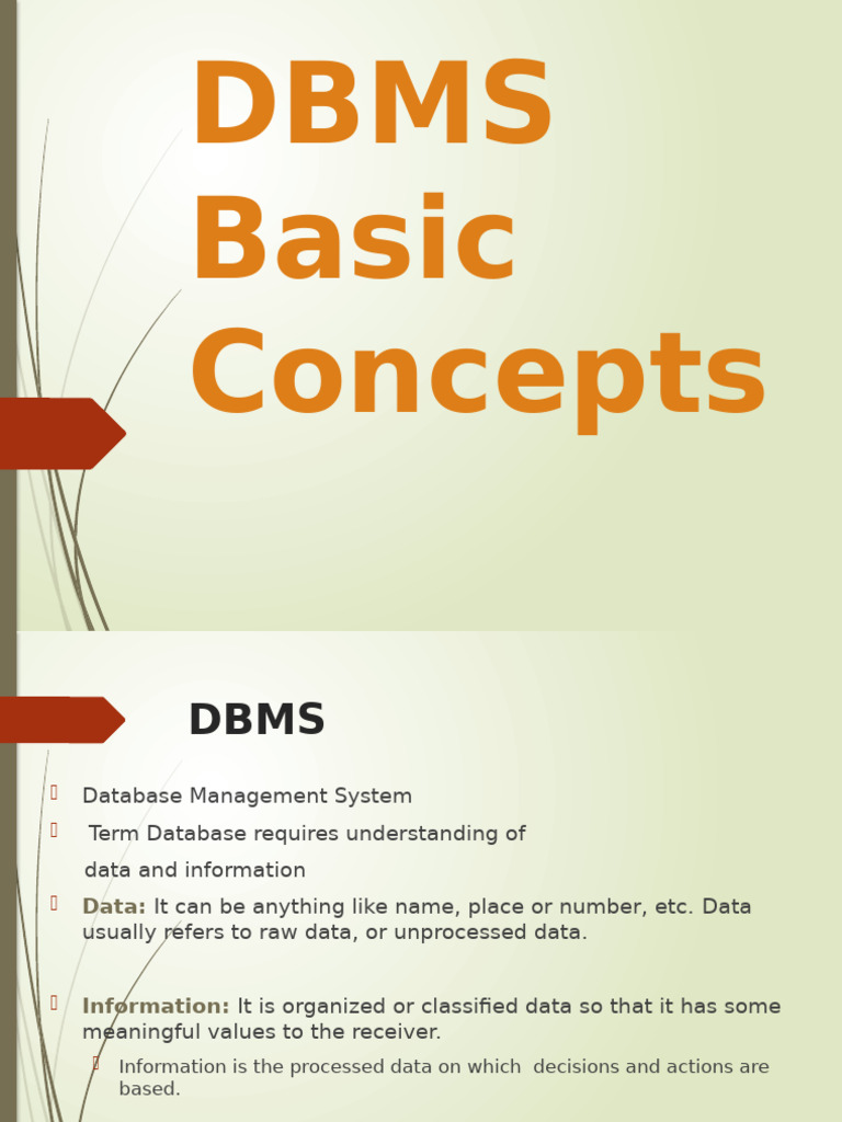 DBMS Basic Concepts | PDF | Databases | Conceptual Model