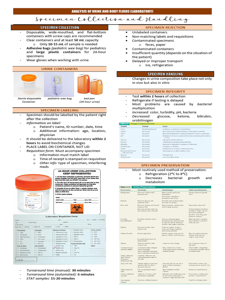 Urine and Body Fluids Collection Guide | PDF | Urine | Urinary Tract ...