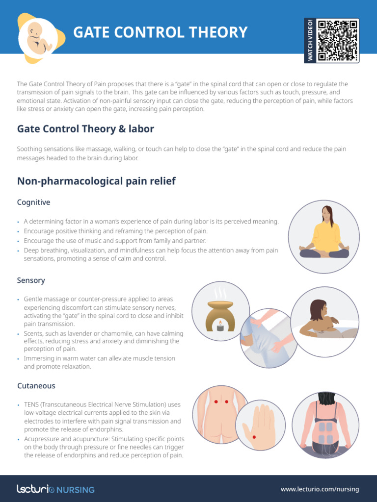 Gate Control Theory of Pain Relief | PDF