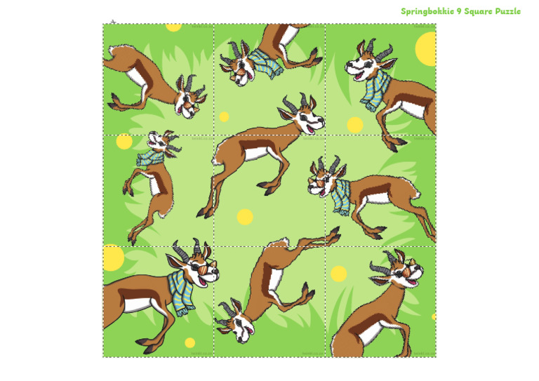 Springbokkie 9 Square Puzzle | PDF