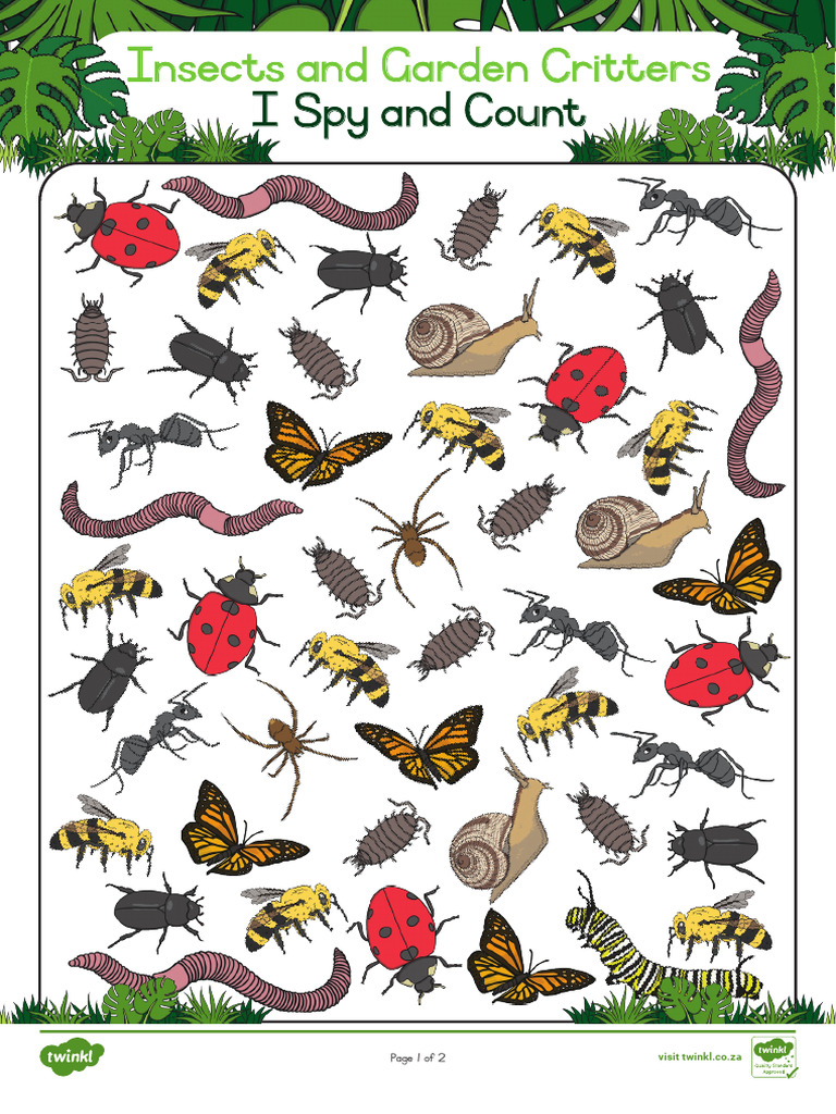 Insects and Garden Critters I Spy Activity | PDF
