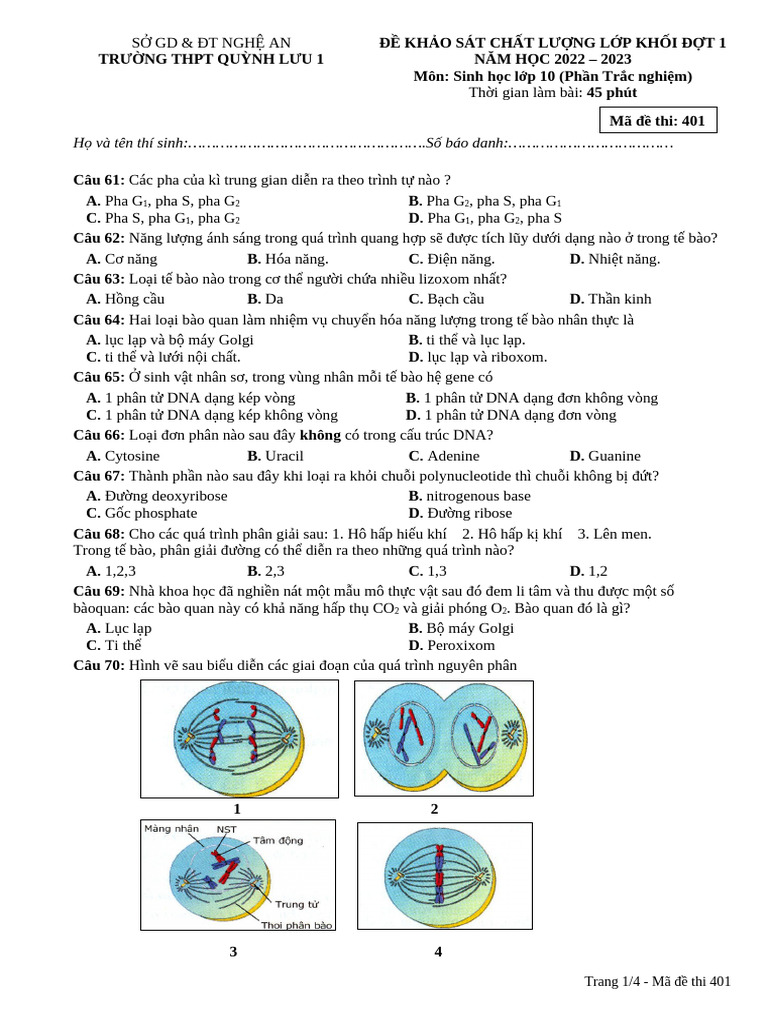 Sinh-10 Sinh-10 401 | PDF