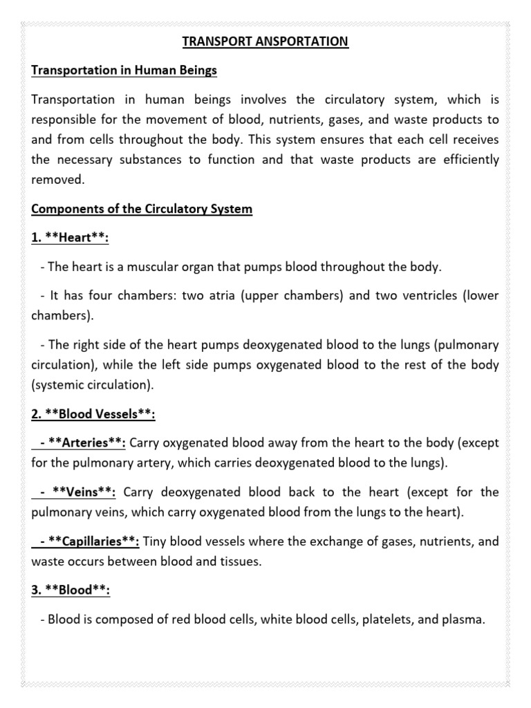 Life Processes Notes (Transportation - Excretion) | PDF | Atrium (Heart ...