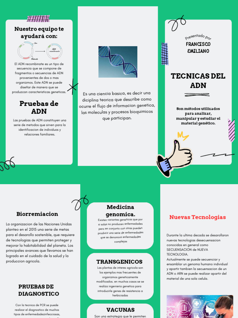 TRIPTICO BIOLOGIA TAREEAr | PDF | Adn | Genoma