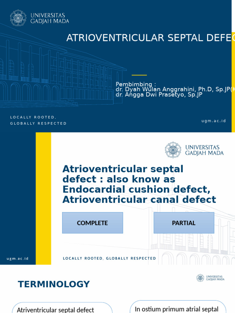 AVSD - 23125 | PDF | Heart Valve | Heart