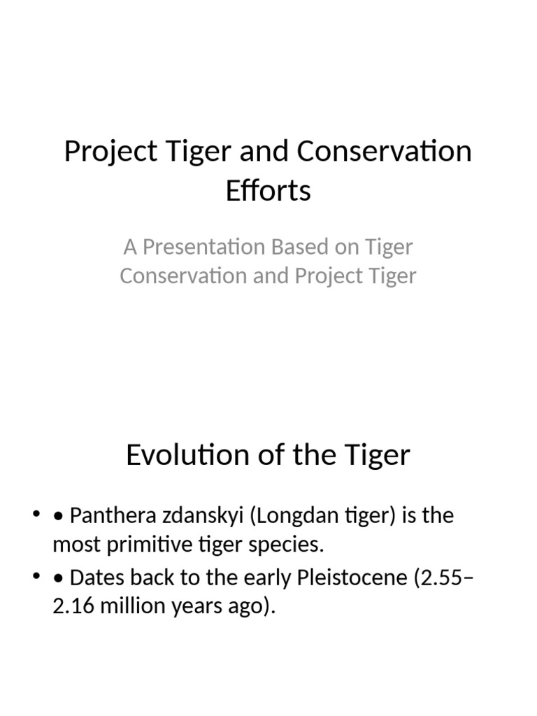 Project Tiger Conservation | PDF