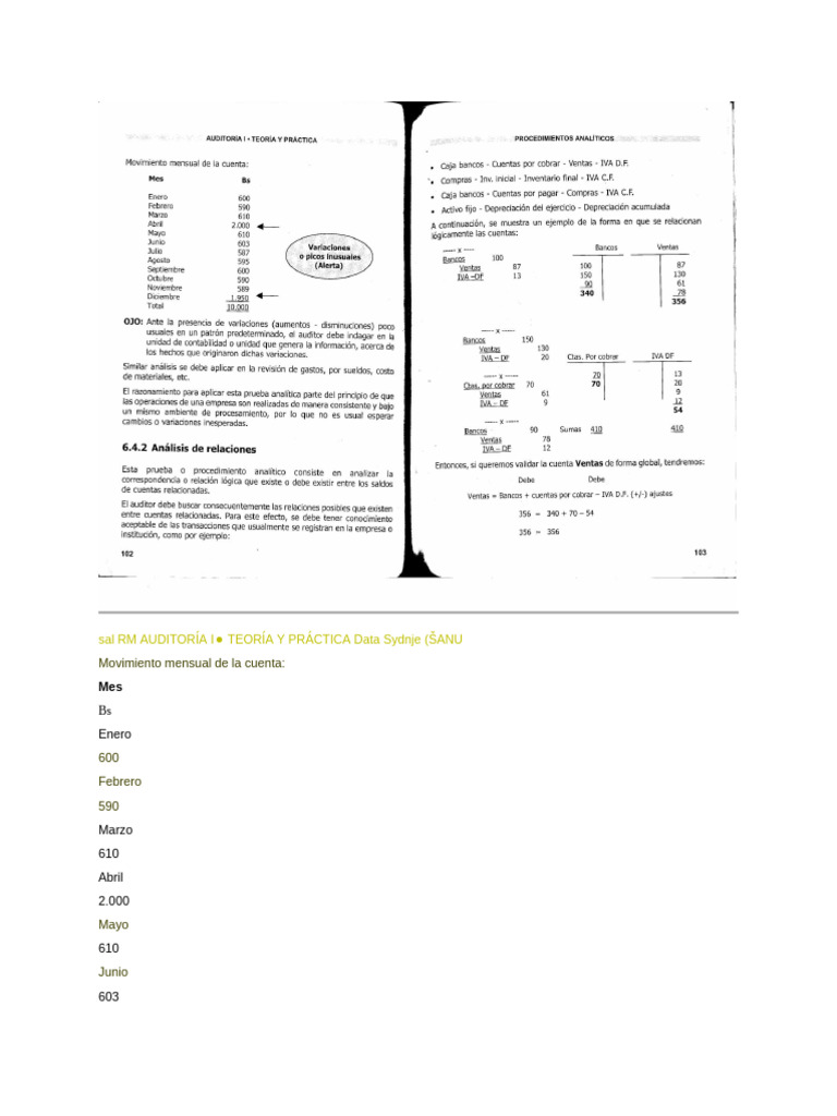 ESCANEADO AUDITORIA_page-0047 | PDF