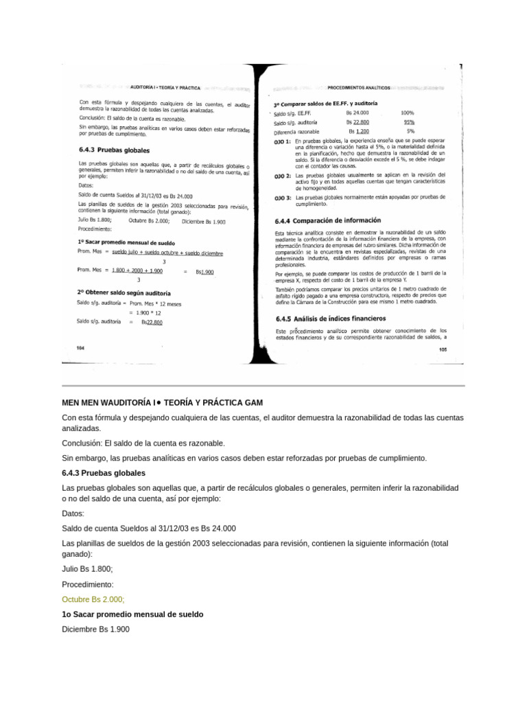 ESCANEADO AUDITORIA - Page-0048 | PDF | Auditoría | Economias