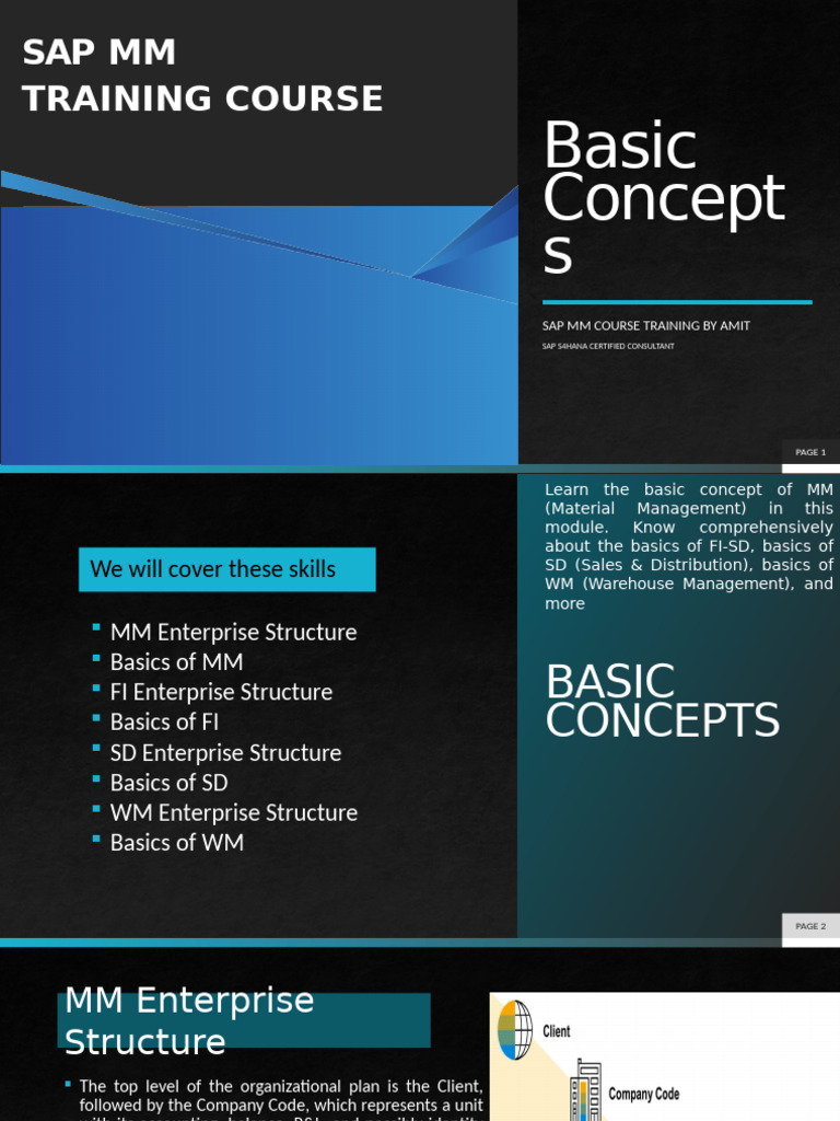 SAP MM Basics for Beginners | PDF | Procurement | Accounting