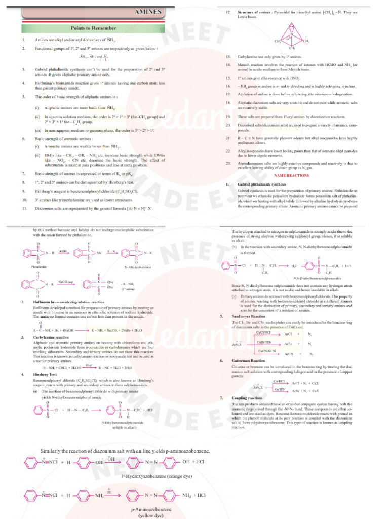 Amines Notes | PDF