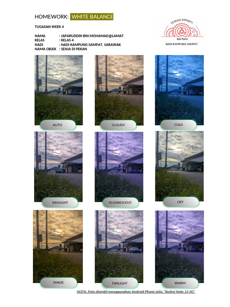 Japaruddin Bin Mohamad@Lamat (White Balance) | PDF