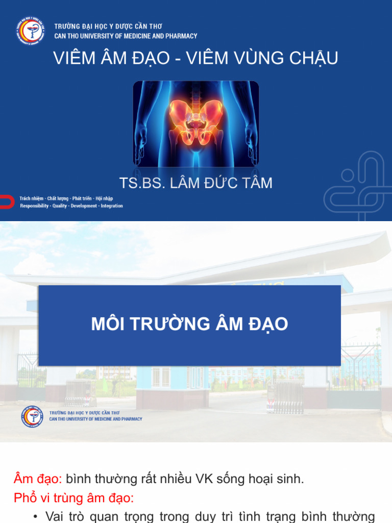 2023 Viem Am Dao - Co Tu Cung - Viem Vung Chau | PDF