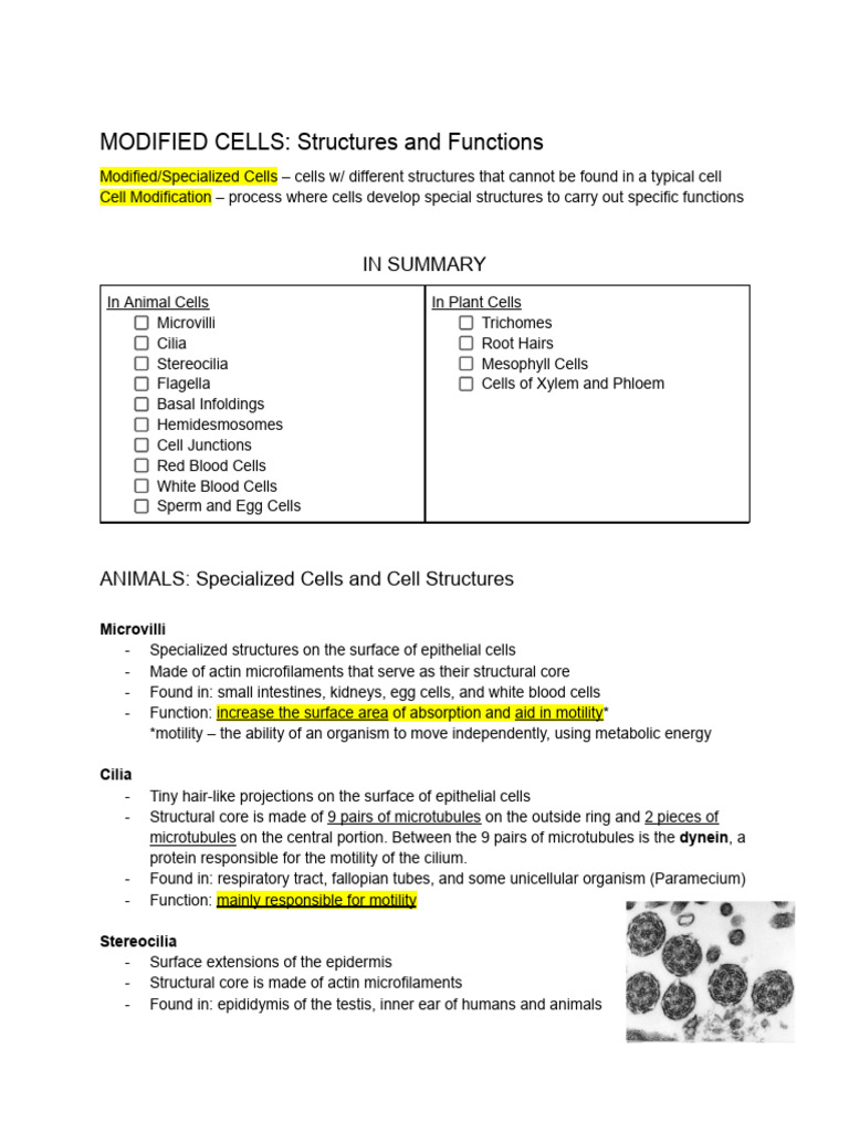 BIO Session Test 2 Reviewer | PDF | Mitosis | Meiosis