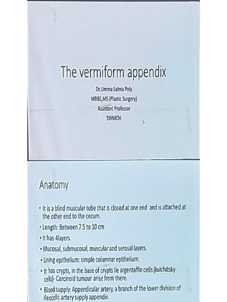 Vermiform appendix by Poly mam | PDF | Digestive Diseases | Clinical Medicine