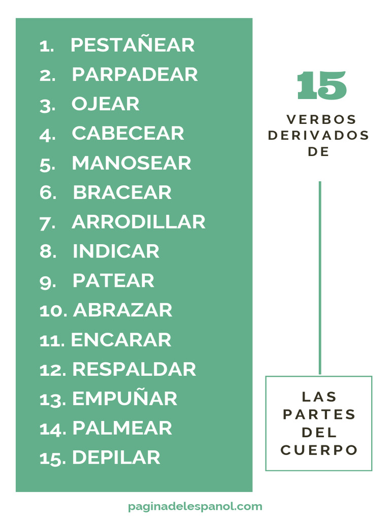 15 Verbos Derivados de Las Partes Del Cuerpo | PDF