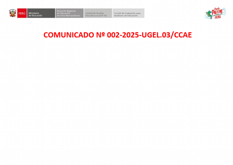 Comunicado 002 2025 Ccae Resultados Preliminares | PDF
