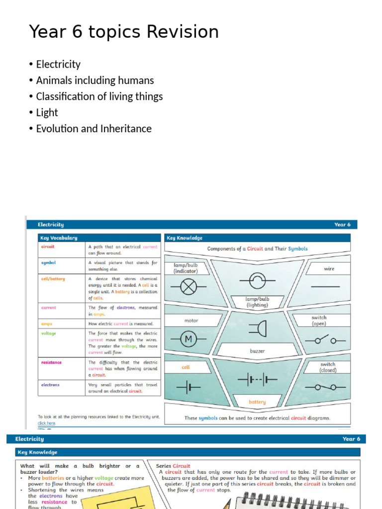 Science Revision | PDF | Organisms | Taxa