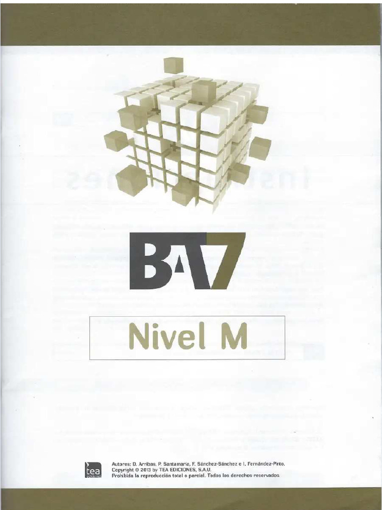 BAT7 Nivel M | PDF