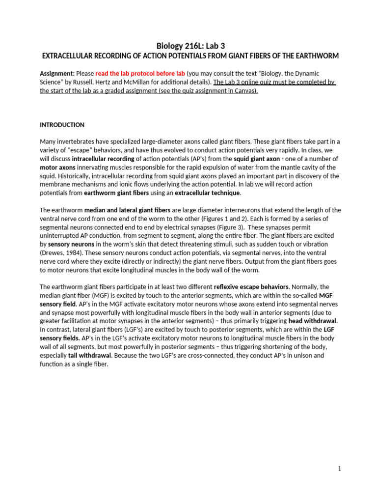 Protocol Lab 3_Earthworm Action Potential, Fall 2024 (1) | PDF | Axon ...