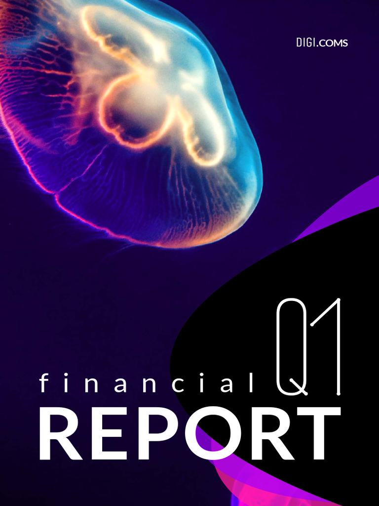 Interactive Financial Report Sample | PDF