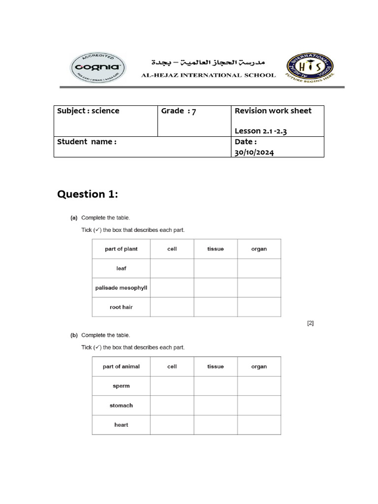 Grade 7 Lesson 2.1 - 2.3 | PDF