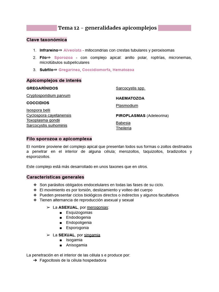 Apicomplejos: Parásitos Intracelulares | PDF | Citoplasma | Biología ...