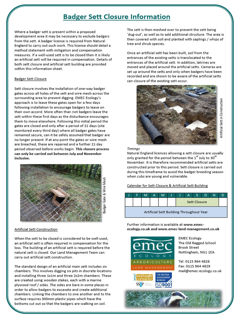 Badger Sett Closure and Artificial Sett Guide | PDF