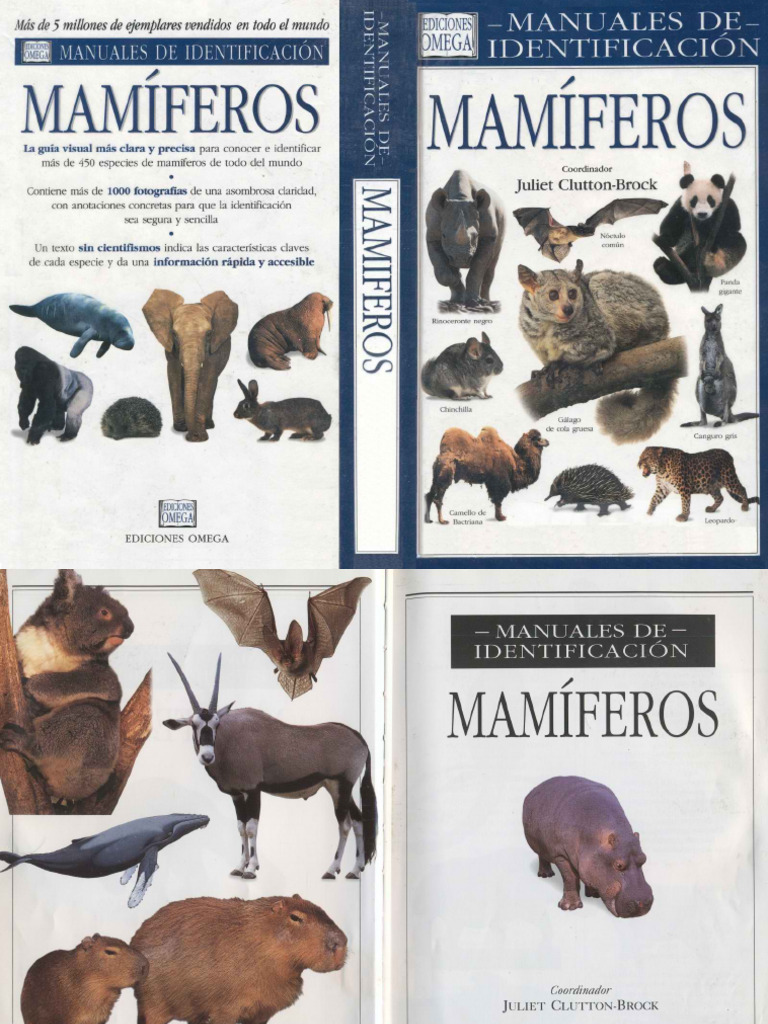 Manual de Identificación de Mamíferos - Juliet Clutton-Brock | PDF