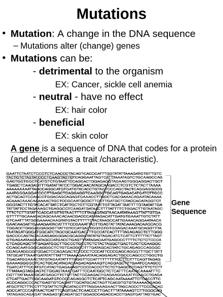 3 Mutations | PDF | Point Mutation | Mutation