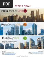 ProtaStructure Suite 2026 Whats New | PDF | Bending | Beam (Structure)