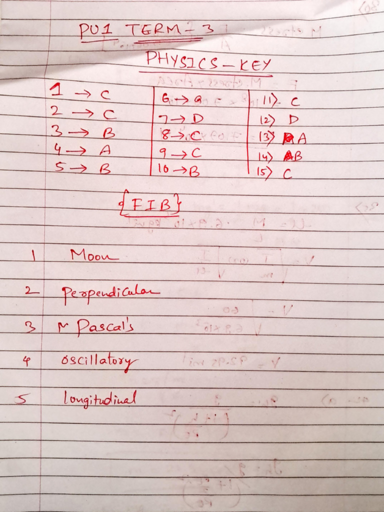 Physics Terms and Formulas Guide | PDF