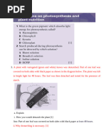 Grade 8 Photosynthesis Test Questions | PDF | Leaf | Photosynthesis