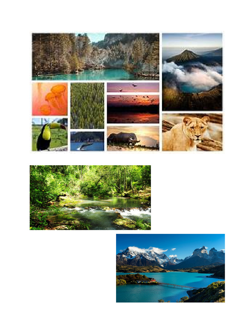 Imagenes Biologia (1)4141 | PDF