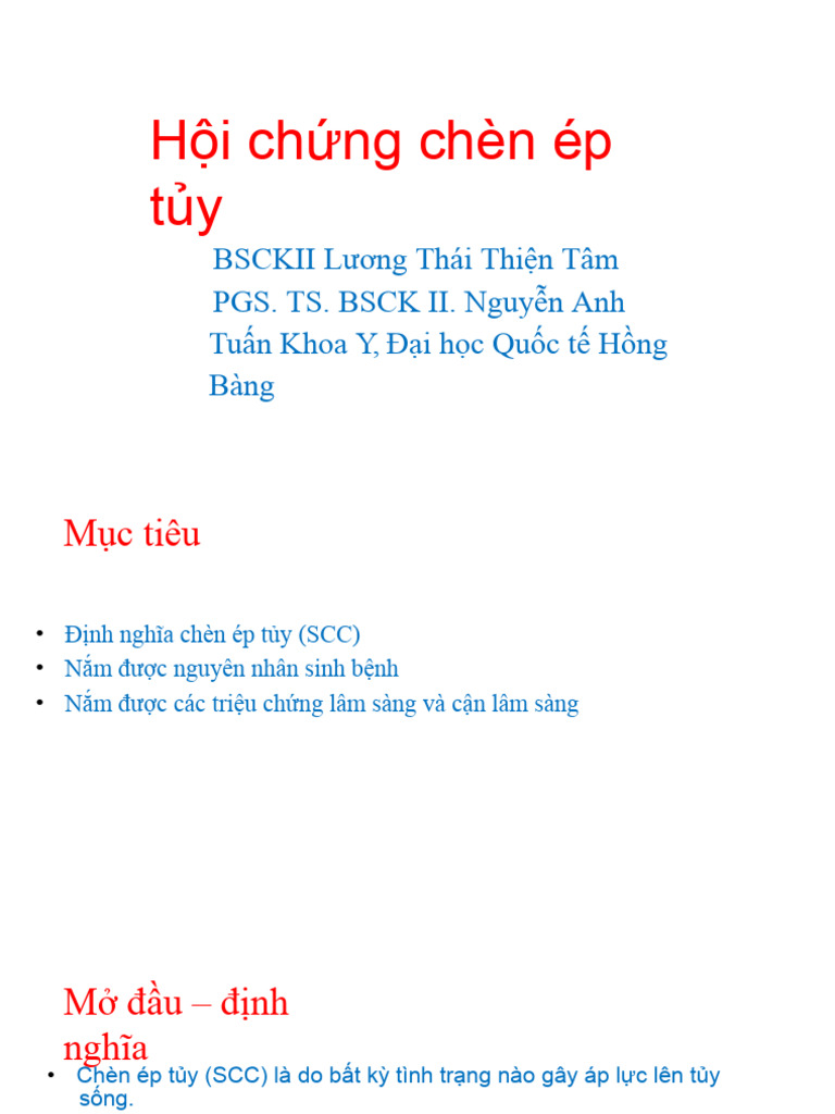 6NCS2 HCChenEpTuy 2024V | PDF
