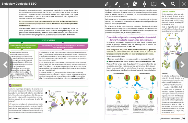 BlinkLearning Plataforma educativa digital 3 | PDF