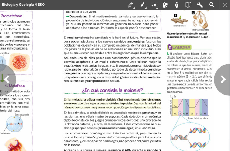 BlinkLearning Plataforma Educativa Digital | PDF