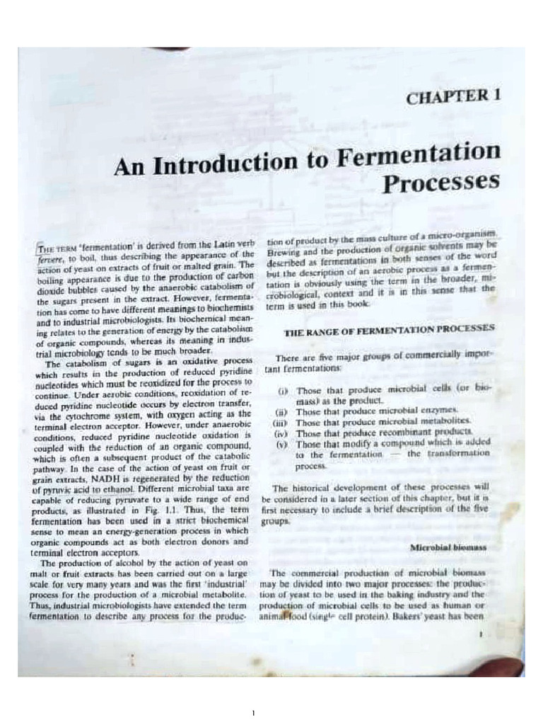 Fermentation Technology | PDF