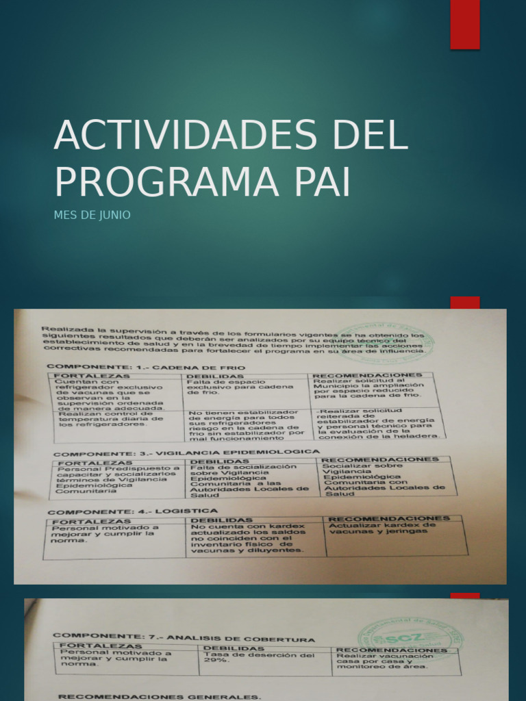 Actividades Del Programa Pai | PDF