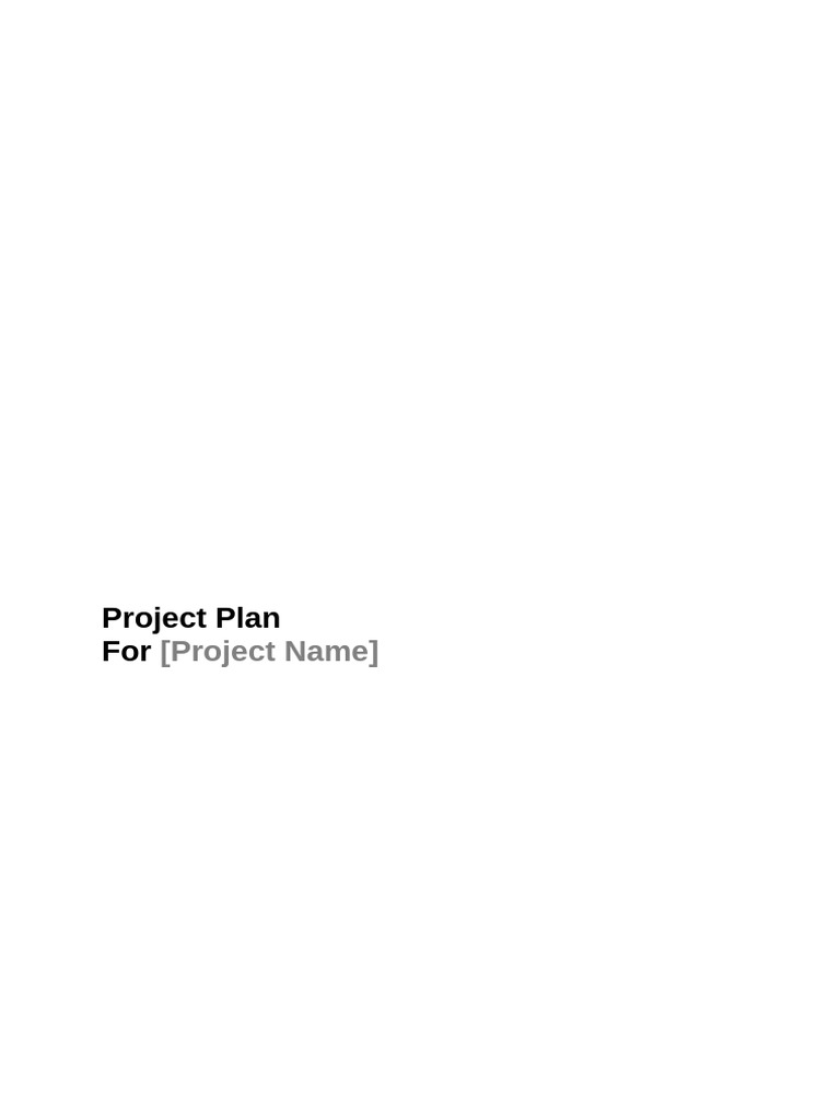 Template - Project Plan | PDF | Project Management | Business