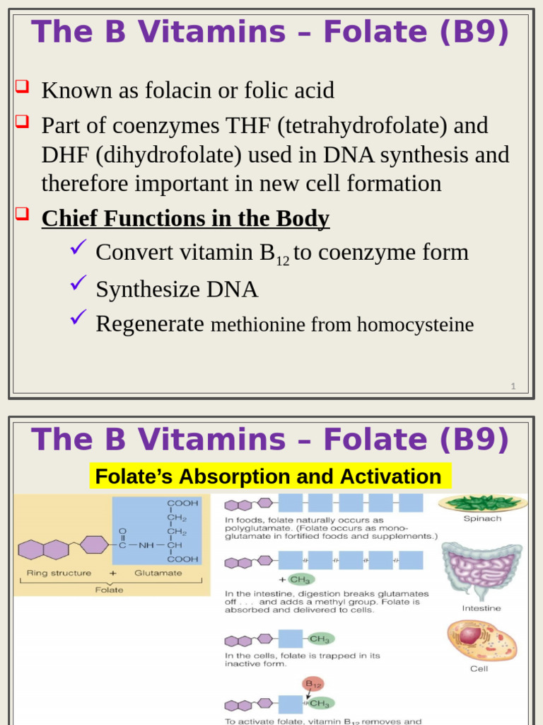 Lecture Series TU - Vitamin-7-B9 (Folic Acid) | PDF | Vitamin B12 | Medical Specialties