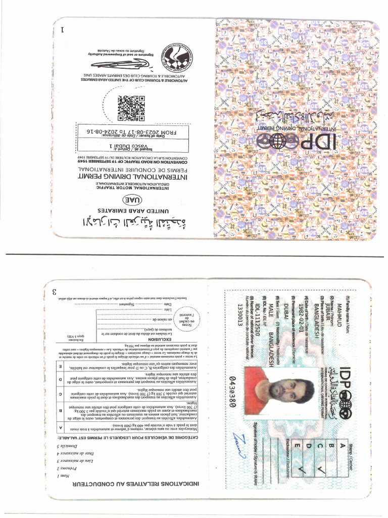 International Driving Licence | PDF