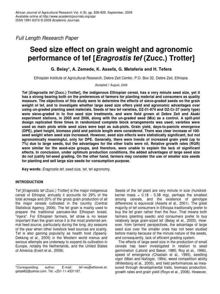 Seed Size Impact on Tef Agronomy | PDF | Wheat | Seed